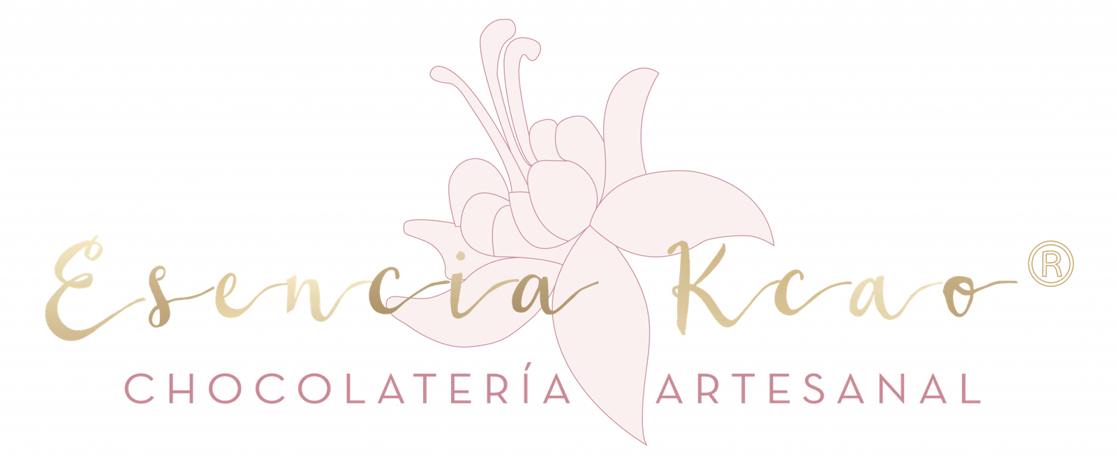 Inicio ¿Quienes somos? Tienda